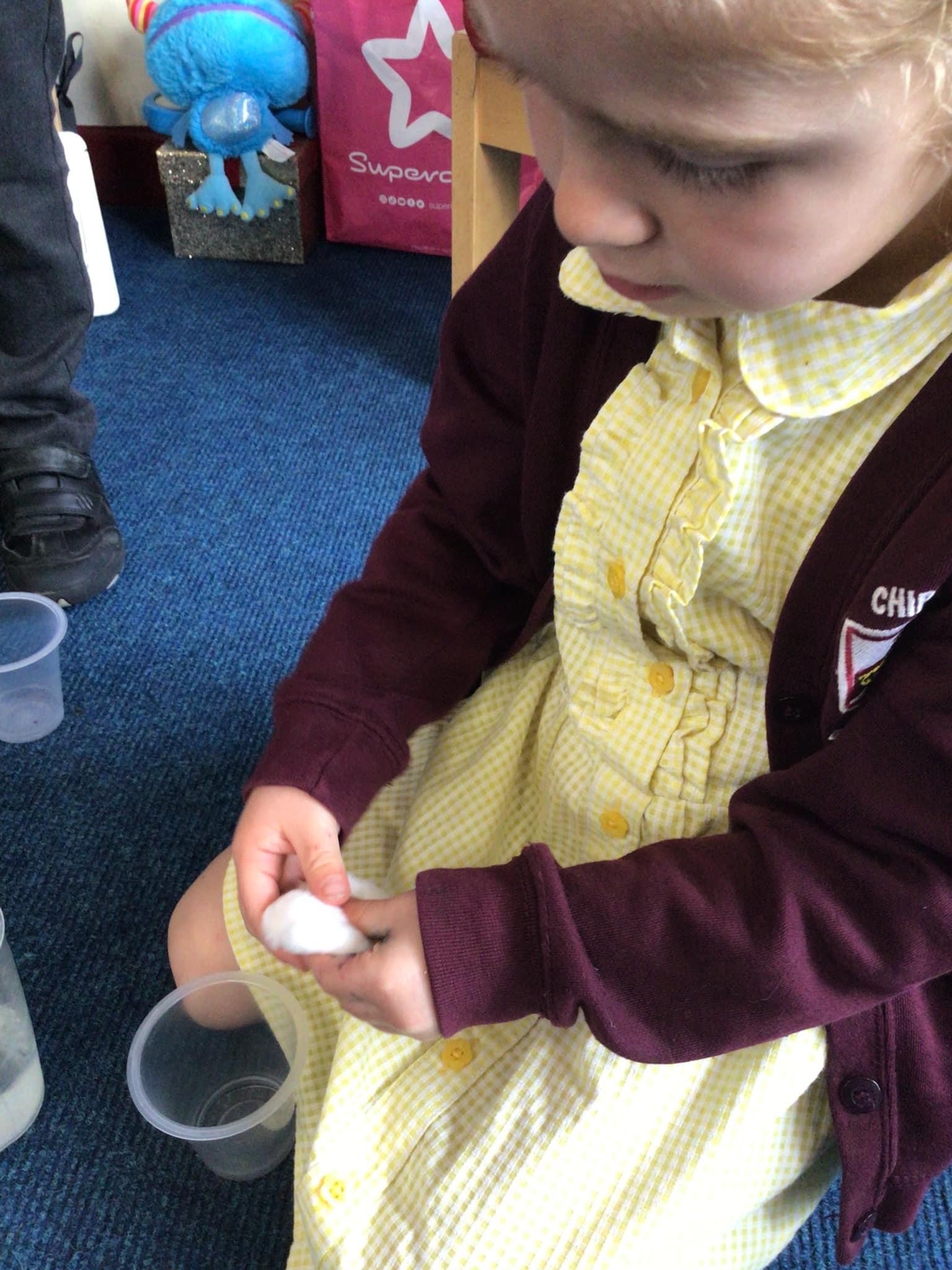 Grow your own cress – Brabins Endowed Primary School