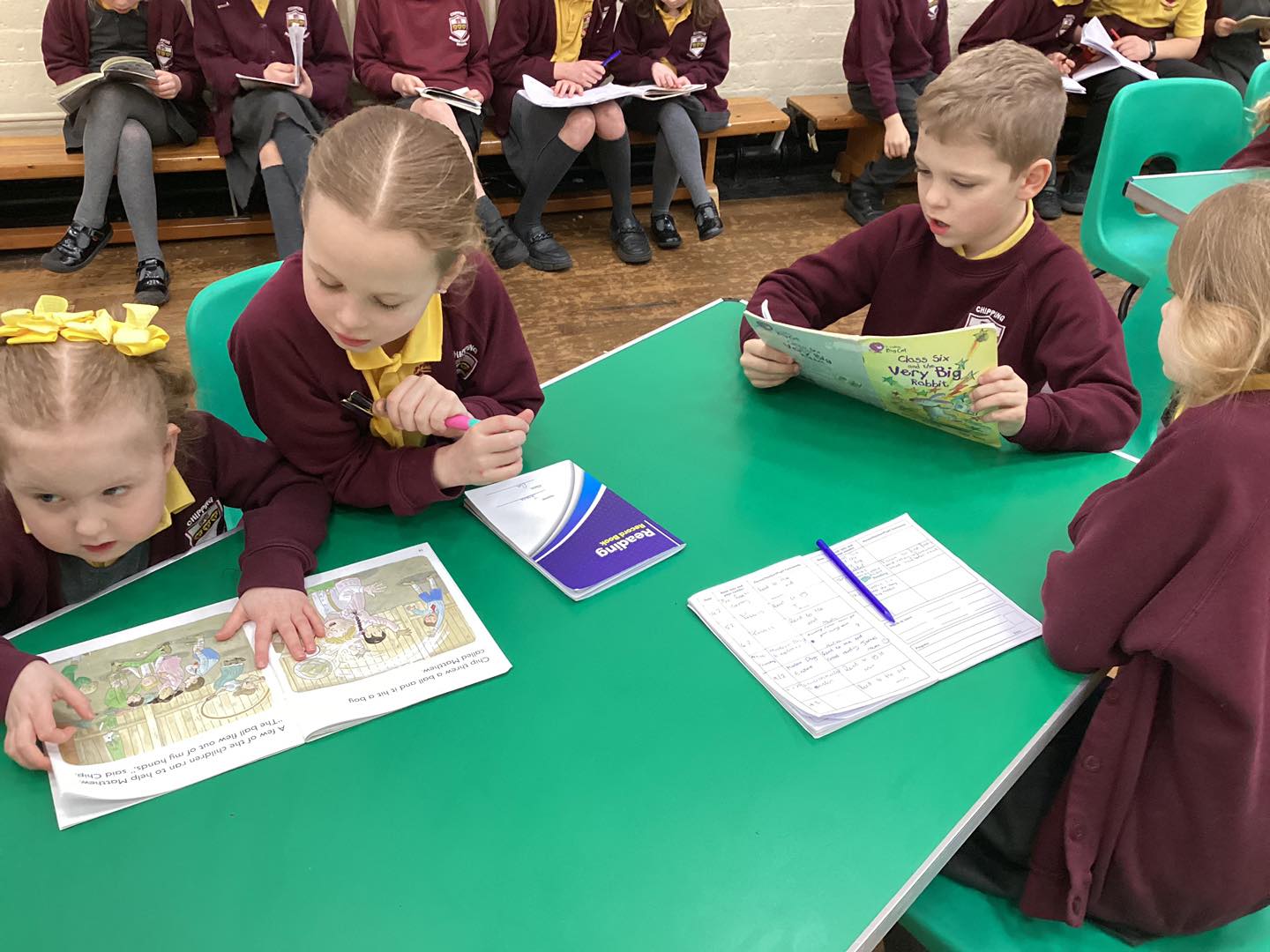 Reading Models – Brabins Endowed Primary School